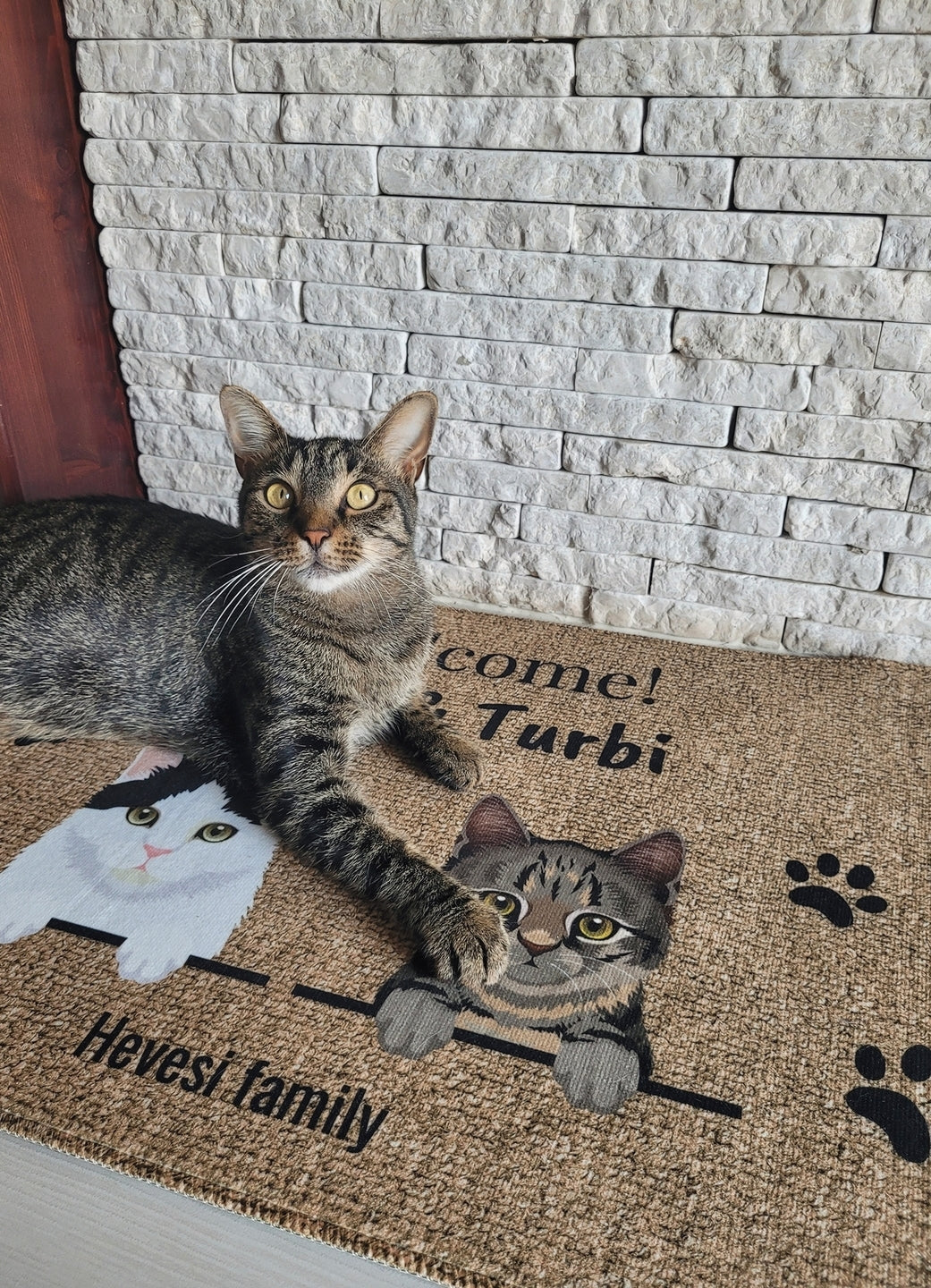 Pet Printed – Unique gifts for all pet lovers – Pet Printed EU